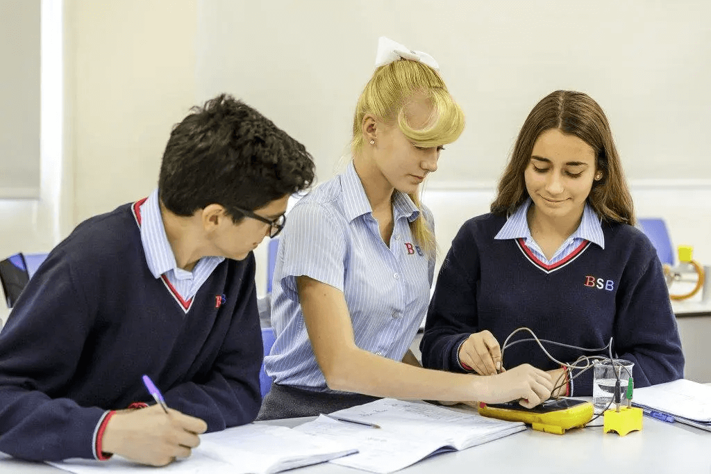 Neuroscience and language learning: benefits for the brain - British ...